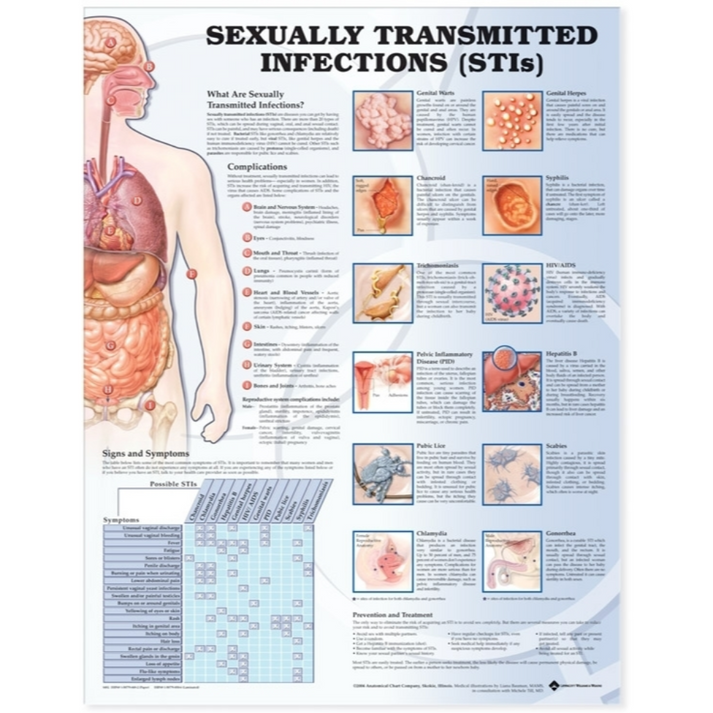 Sexually Transmitted Infections Anatomical Chart – Medshop New Zealand